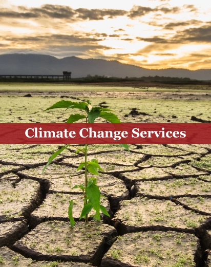Expert Climate Change Services | Finsoul Network UAE
