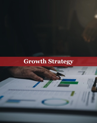 Affordable Growth Strategy Services | Finsoul Network UAE