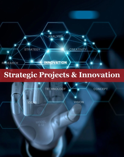 Strategic Projects and Innovation Services | Finsoul UAE
