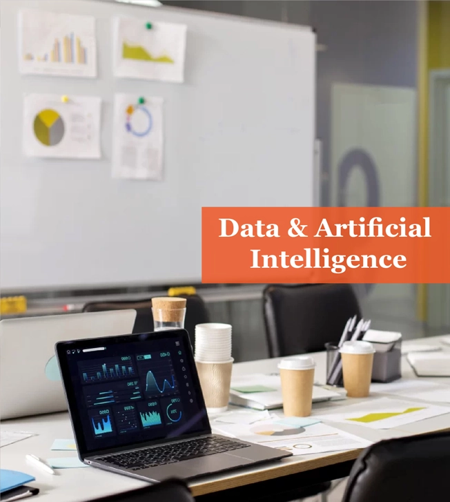 Premier Data and Artificial Intelligence Services - Finsoul Network