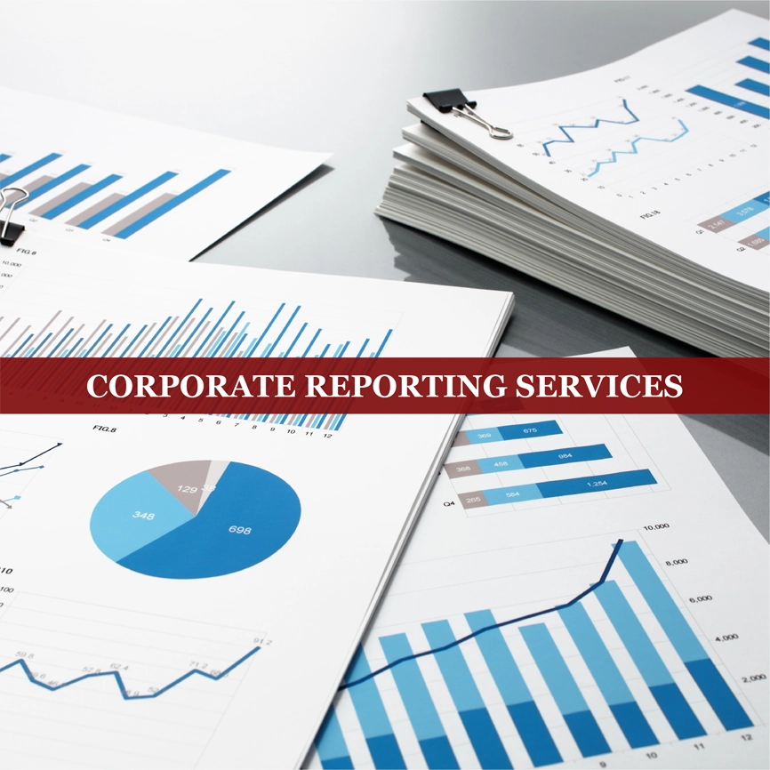 Trusted Corporate Reporting Services - Finsoul Network